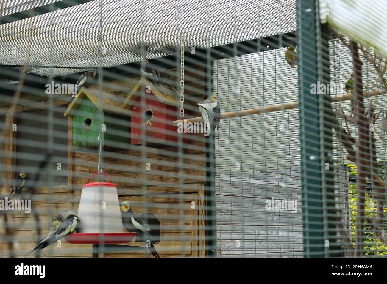 Aviary enclosure hi-res stock photography and images - Alamy