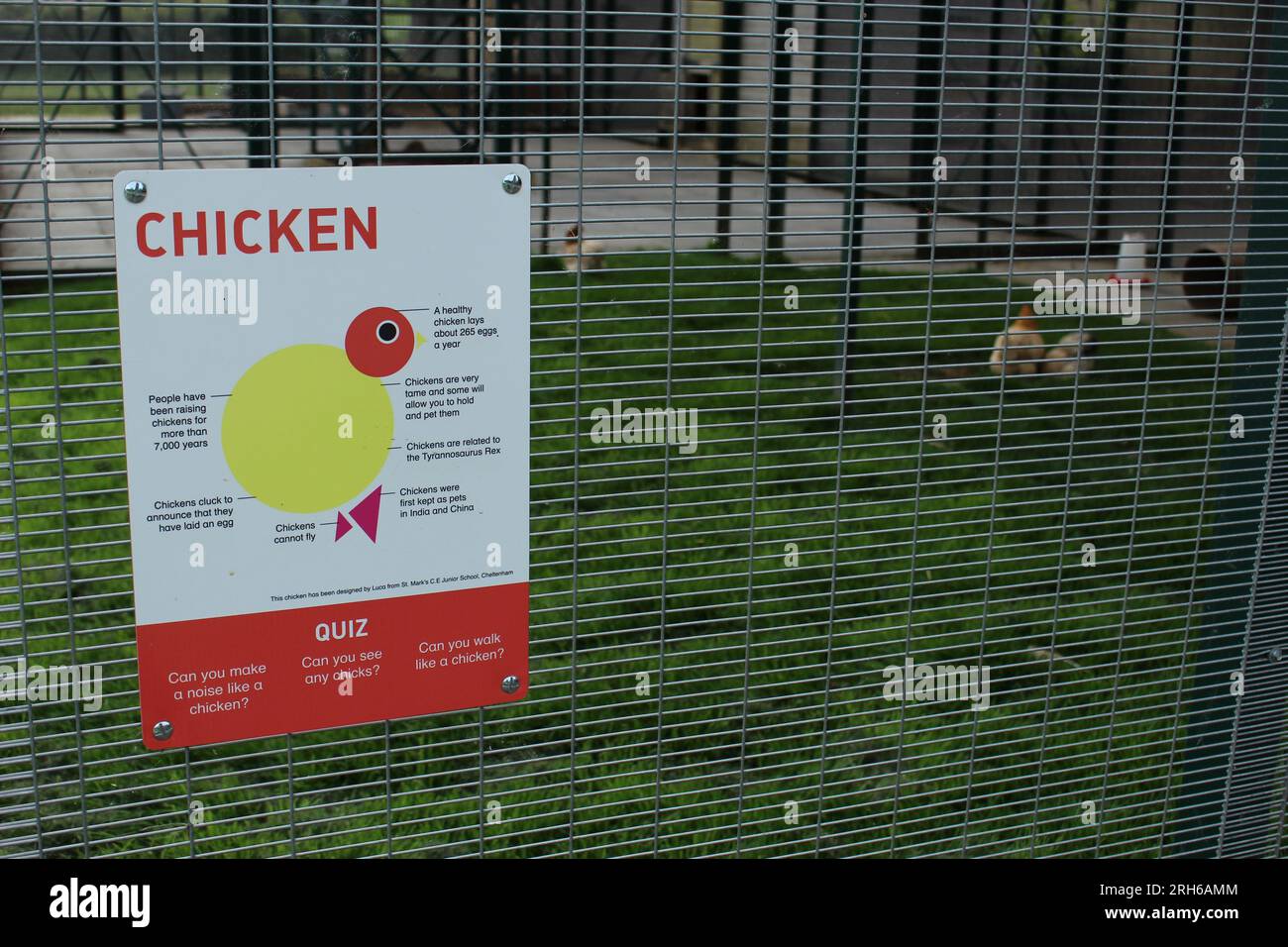 Pittville Park Aviary containing chickens with a sign sharing fun facts ...