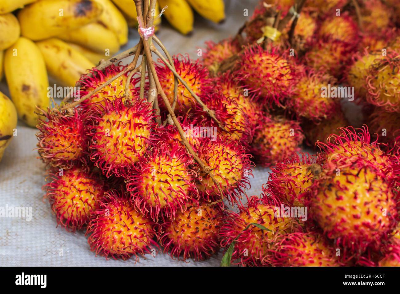 Bunch of ripe rambutan. Sweet tropical fruits. Stack of red lychee ...