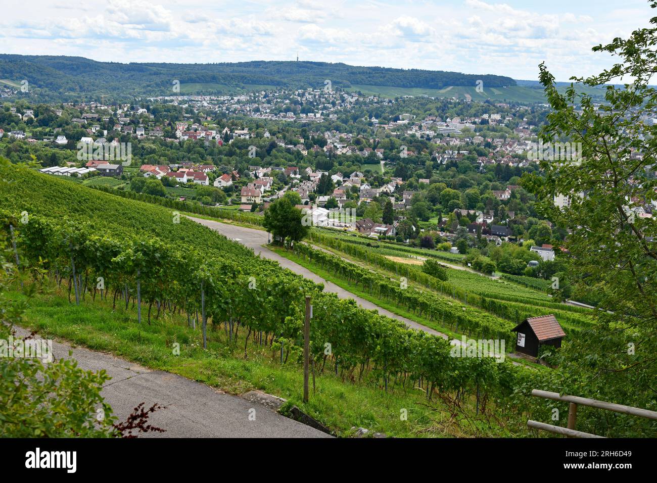 View of Heilbronn from the Wartberg Stock Photo - Alamy