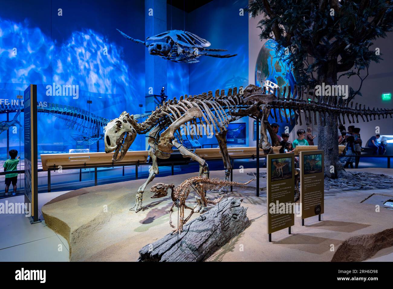 Texas, JUL 3 2023 - Interior view of the Perot Museum of Nature and ...