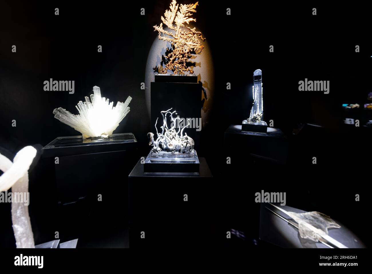 Texas, JUL 3 2023 - Close up shot ort mineral display in the Perot ...