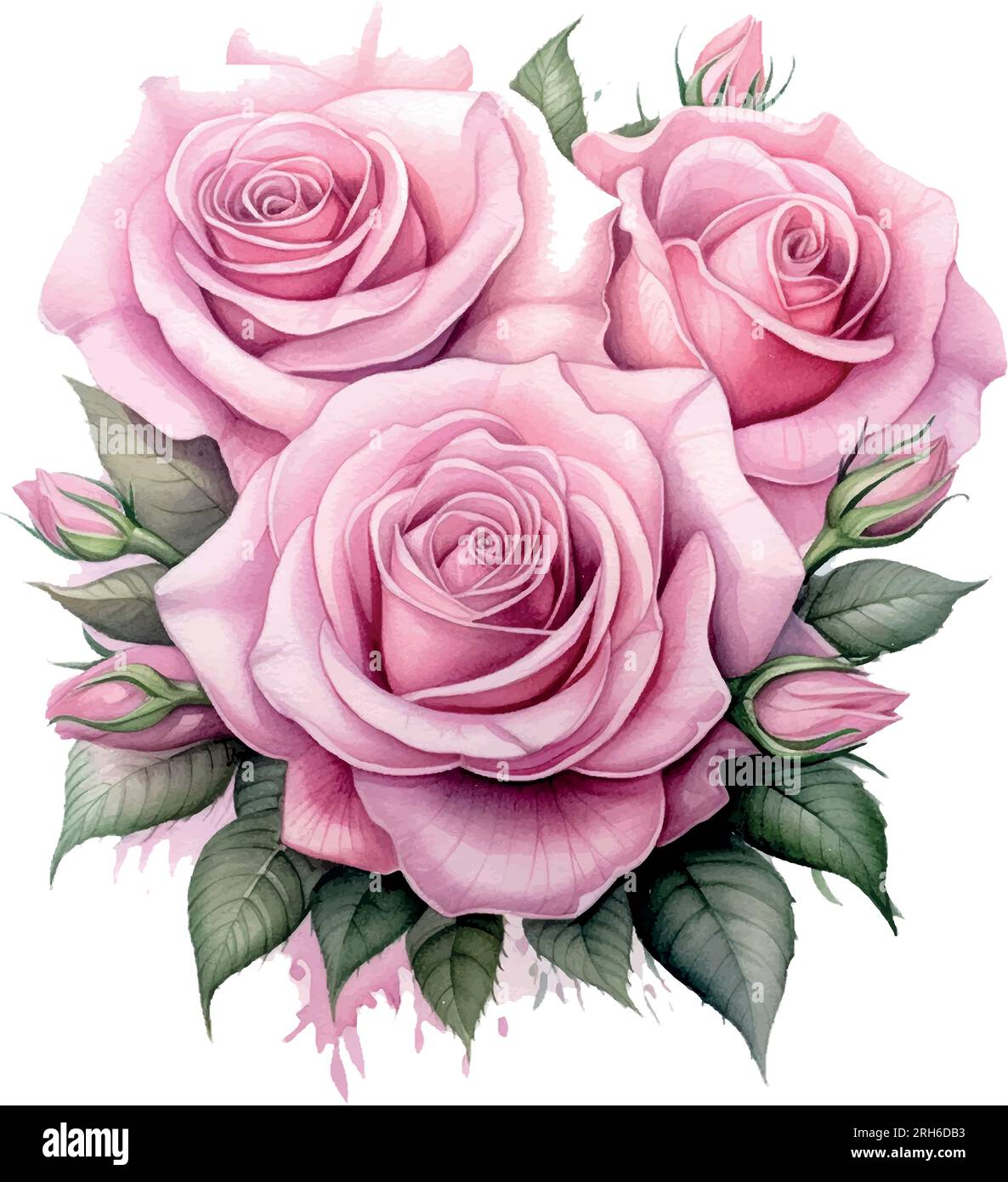 Bouquet pink roses watercolor in watercolor style on white background ...