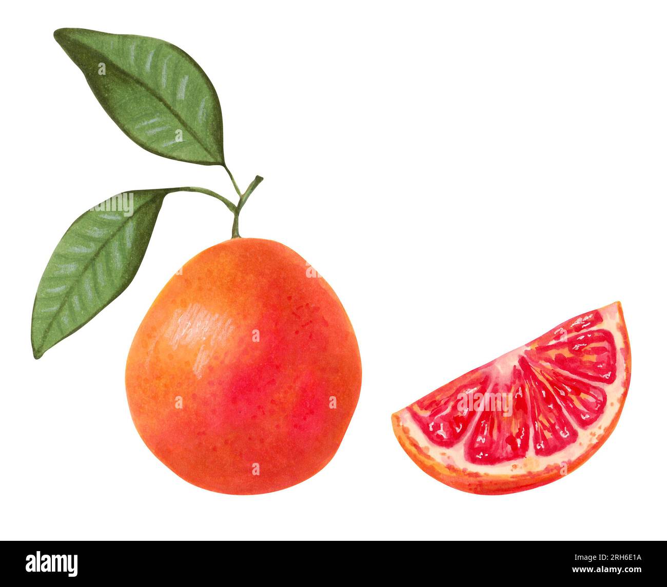 Fresh juicy grapefruit with a quarter and leaves. Healthy food. Fruits ...