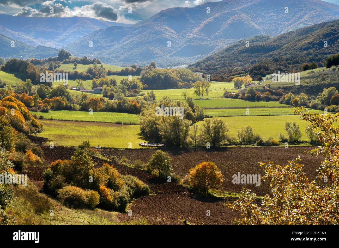 Ruscio hi-res stock photography and images - Alamy