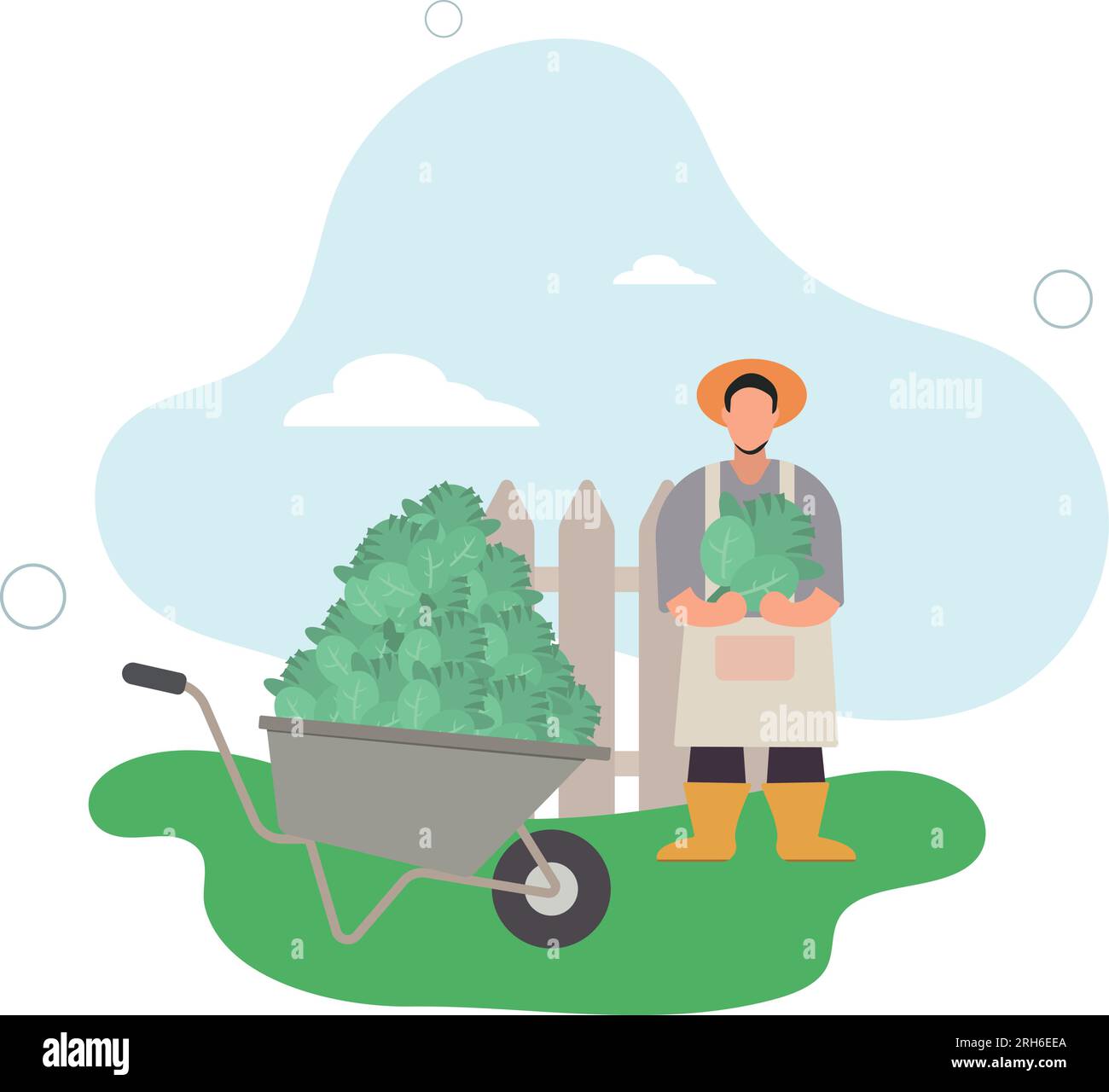 farmer and big crop of cabbage.concept of gardening and vegetables.flat ...