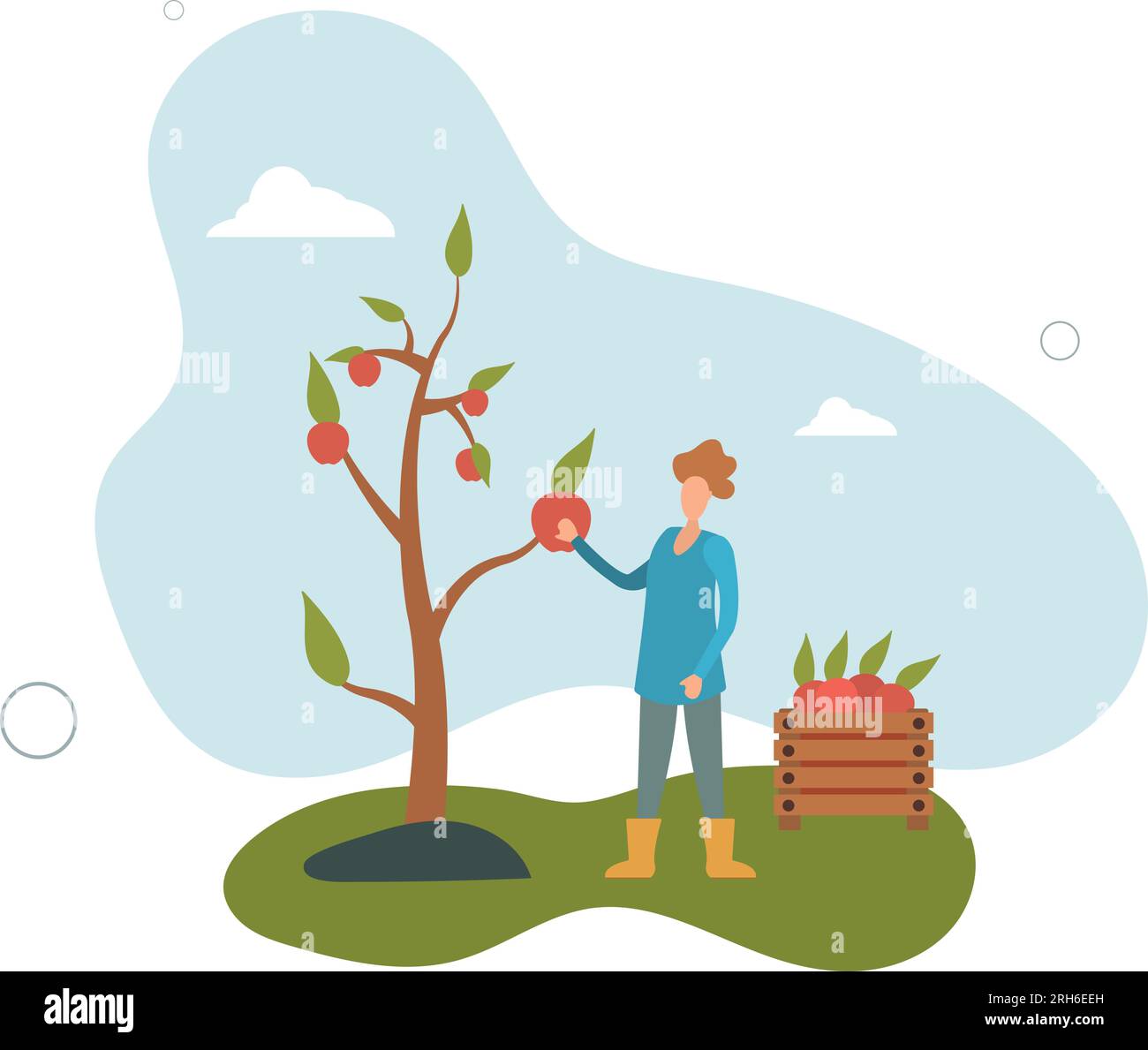 People gardening. Cartoon character working .woman picking apples ...