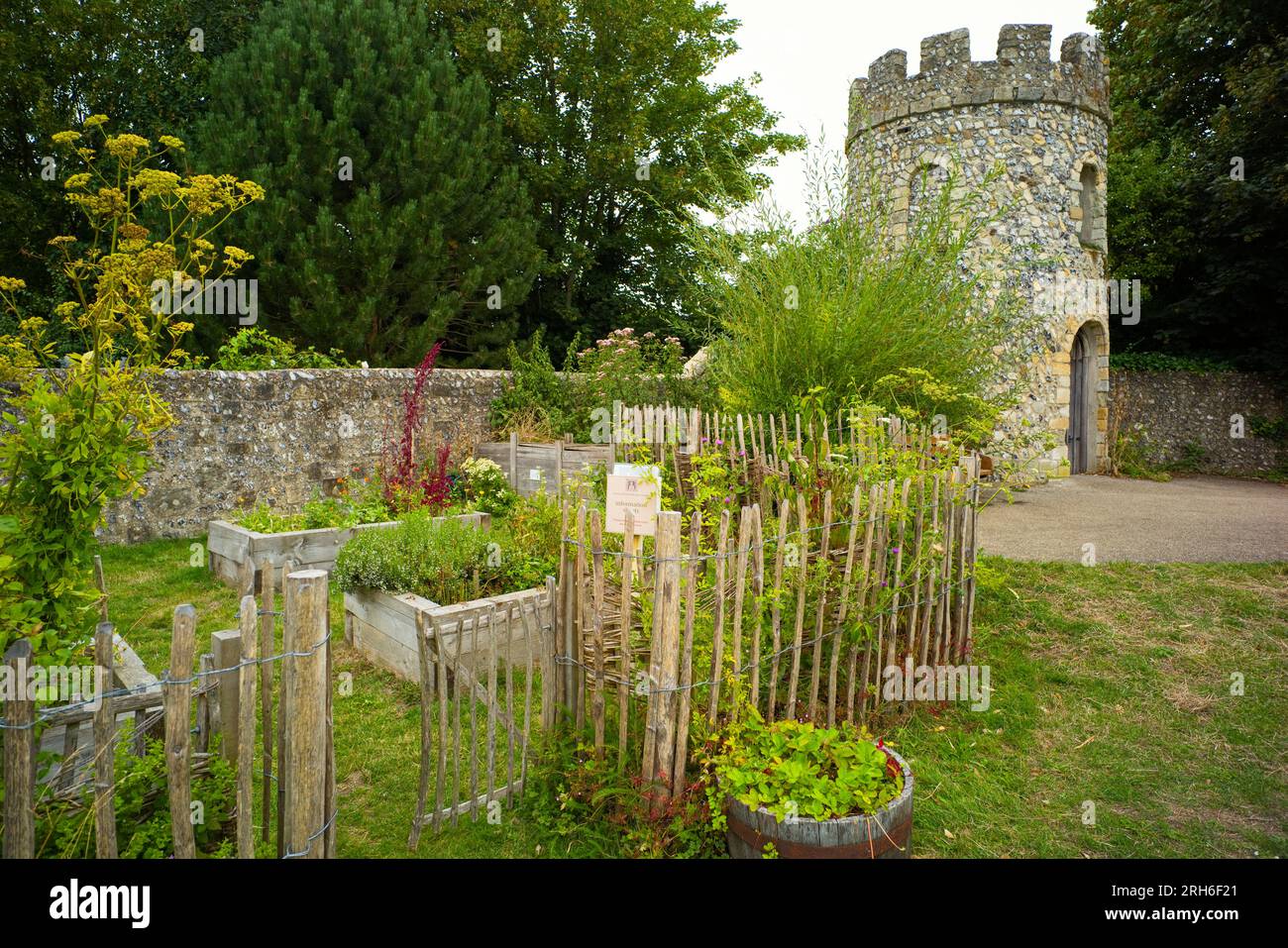 The remains of the kitchen garden at St Pancras priory in Lewes Stock ...