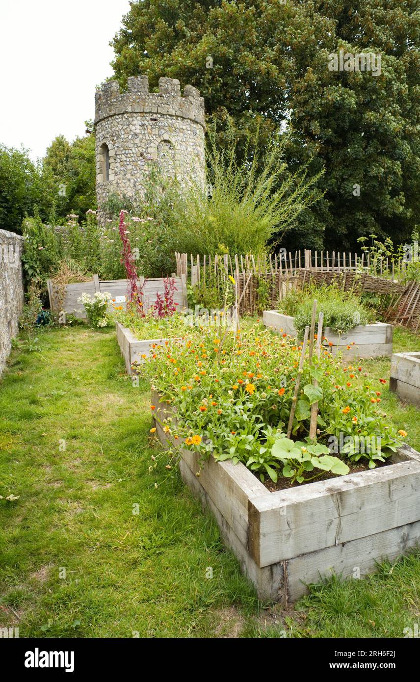 The remains of the kitchen garden at the Priory of St Pancras in Lewes ...