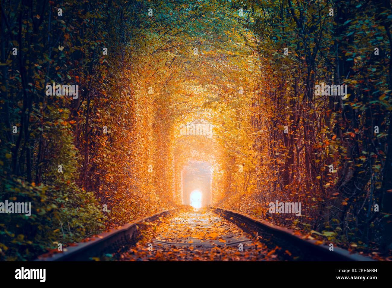 Magical Autumn Trees Tunnel with old railway - Tunnel of Love. Natural ...