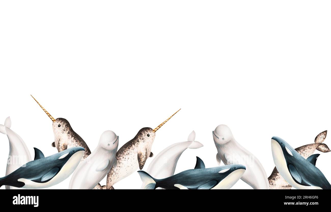 Watercolor frame with beluga, killer whale and narwhal isolated on ...
