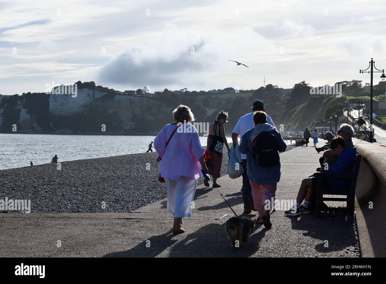 Seaton Seafront in the Summer of 2023 Devon England uk Stock Photo - Alamy