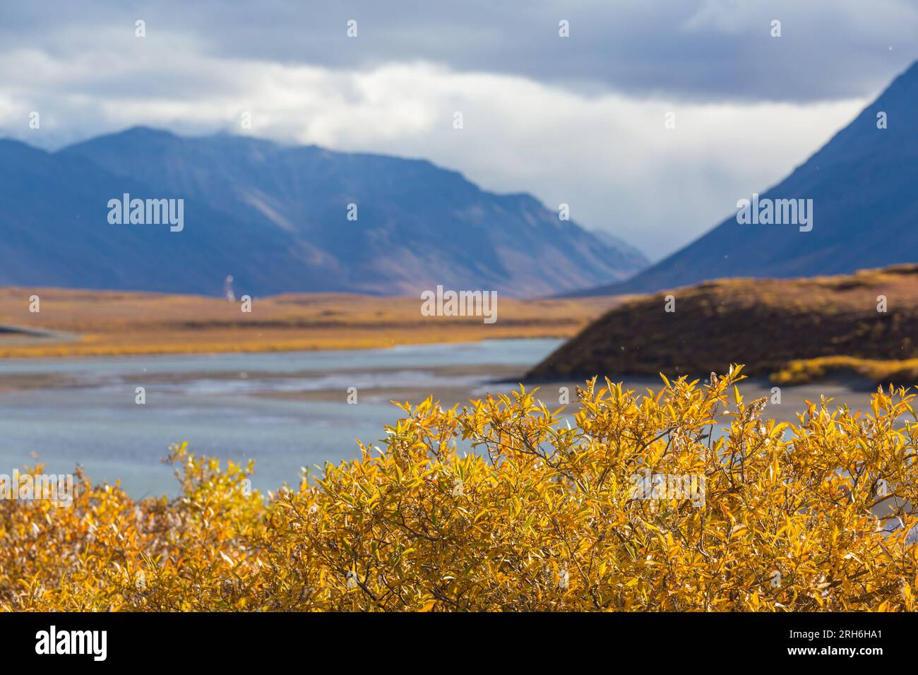 Tundra landscapes above Arctic circle in autumn season. Beautiful ...