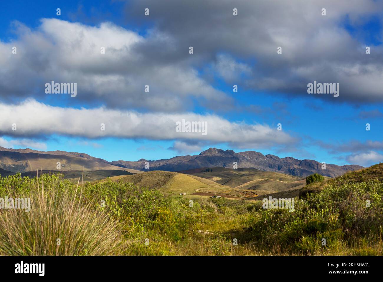 Beautiful high mountains in Colombia * Stock Photo - Alamy