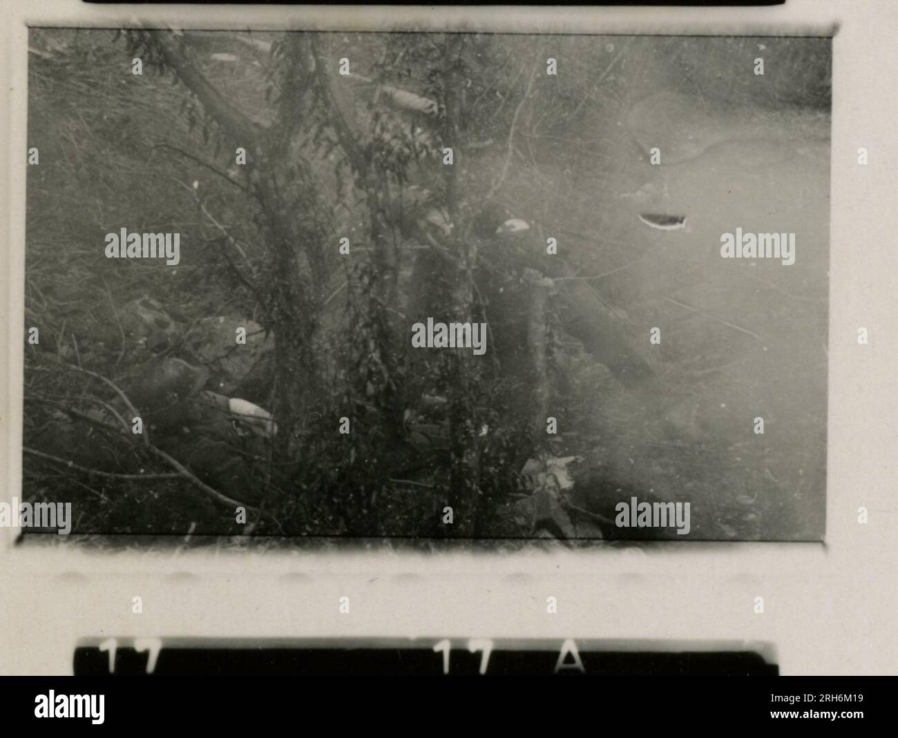 Adolf hitler nazi ss parade hi-res stock photography and images - Alamy