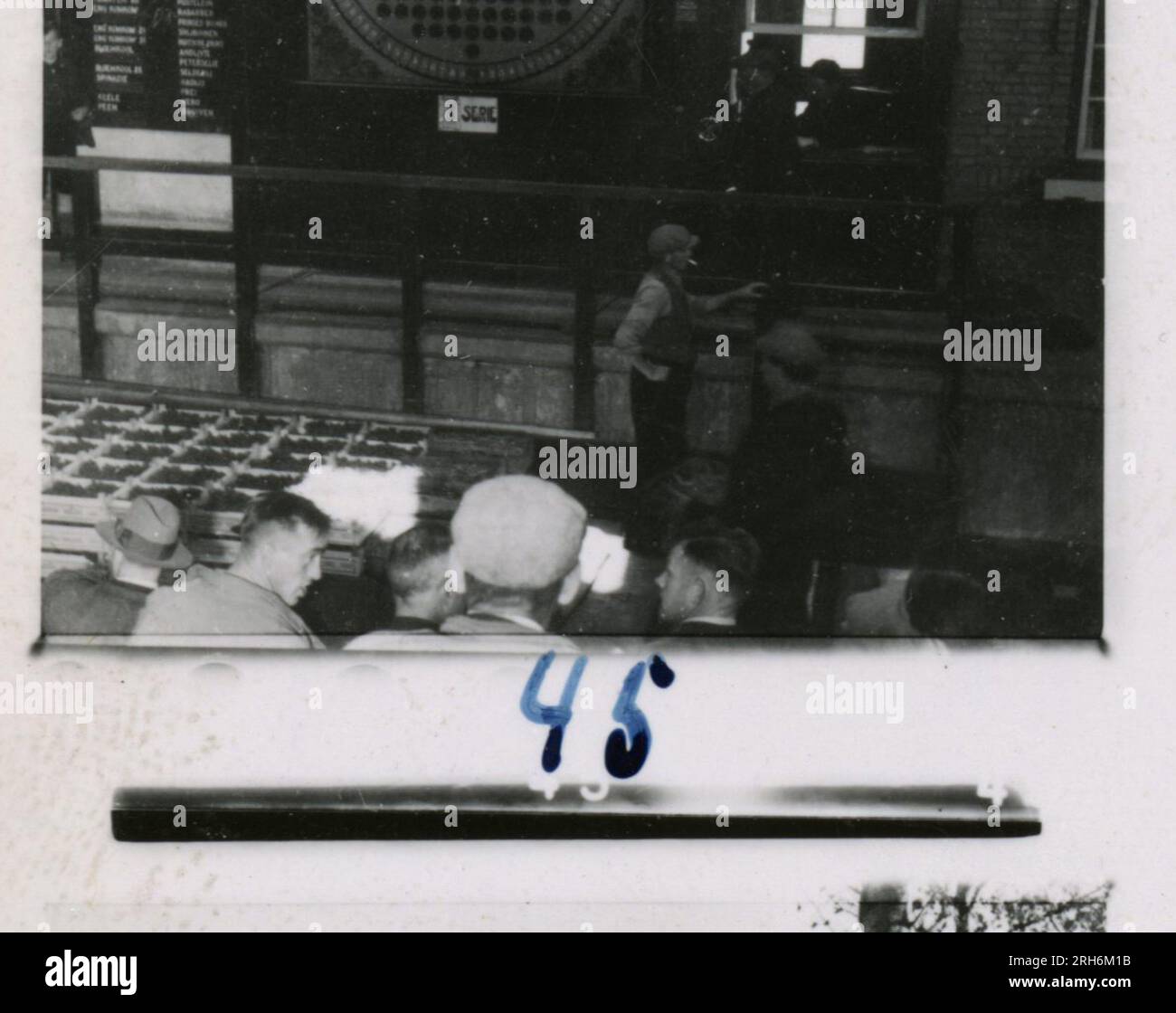 SS Photographer, Gösling, Jobst (Leibstandarte Adolf Hitler, Berlin ...