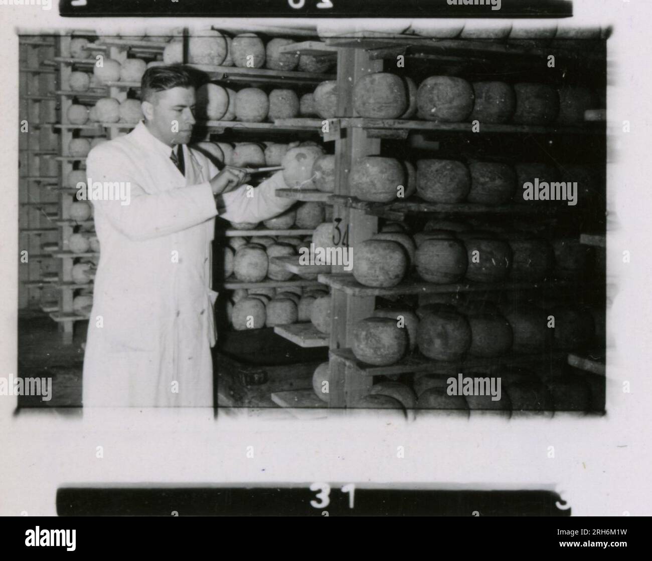 SS Photographer, Gösling, Jobst (Leibstandarte Adolf Hitler, Berlin ...