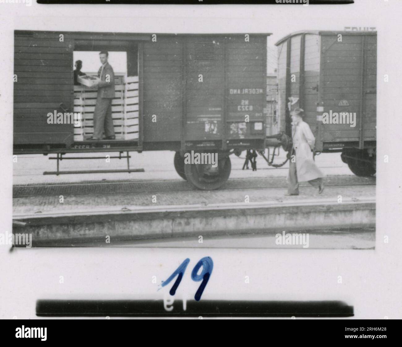 SS Photographer, Gösling, Jobst (Leibstandarte Adolf Hitler, Berlin ...