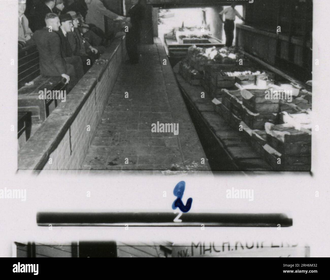 SS Photographer, Gösling, Jobst (Leibstandarte Adolf Hitler, Berlin ...