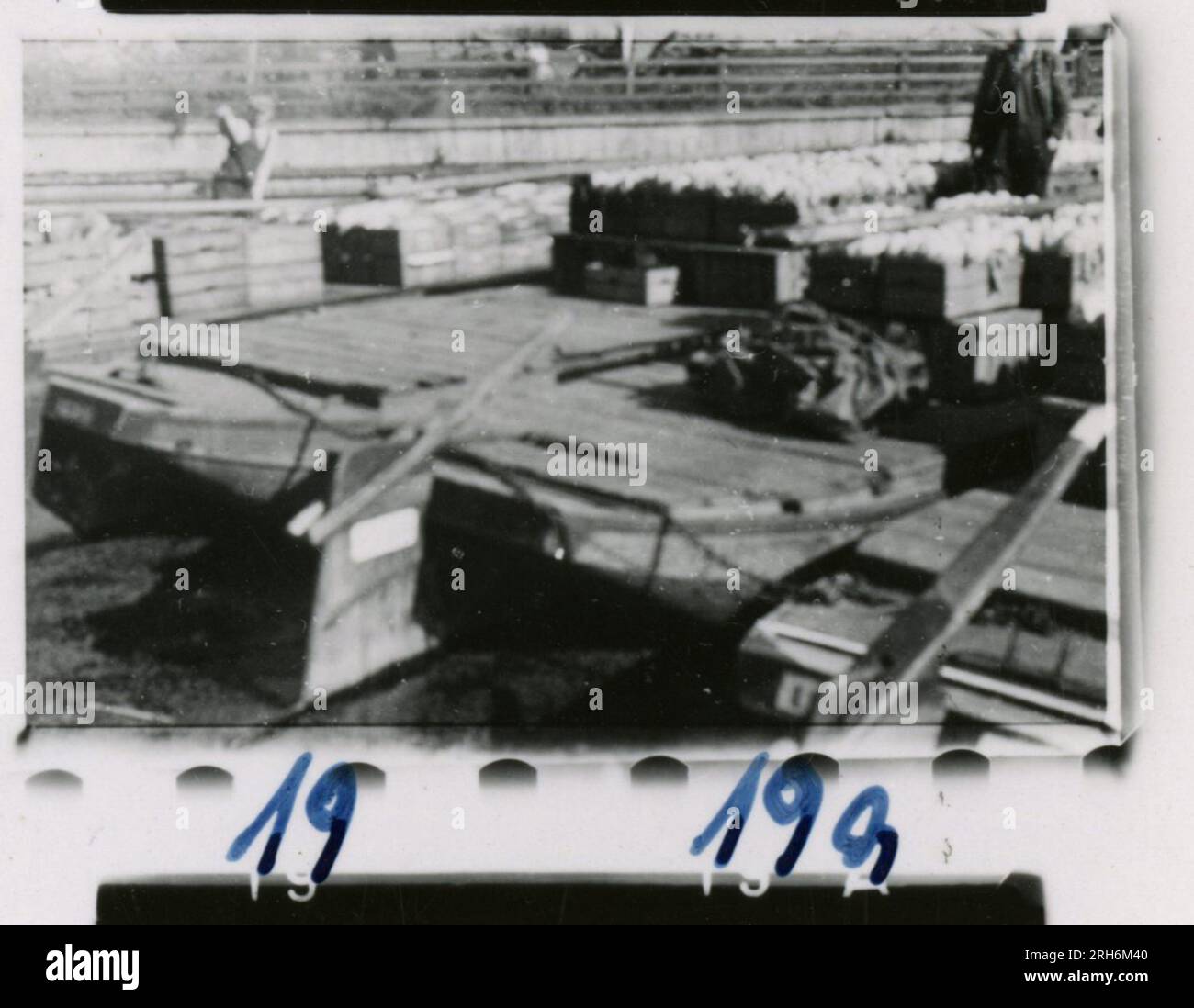 SS Photographer, Gösling, Jobst (Leibstandarte Adolf Hitler, Berlin ...