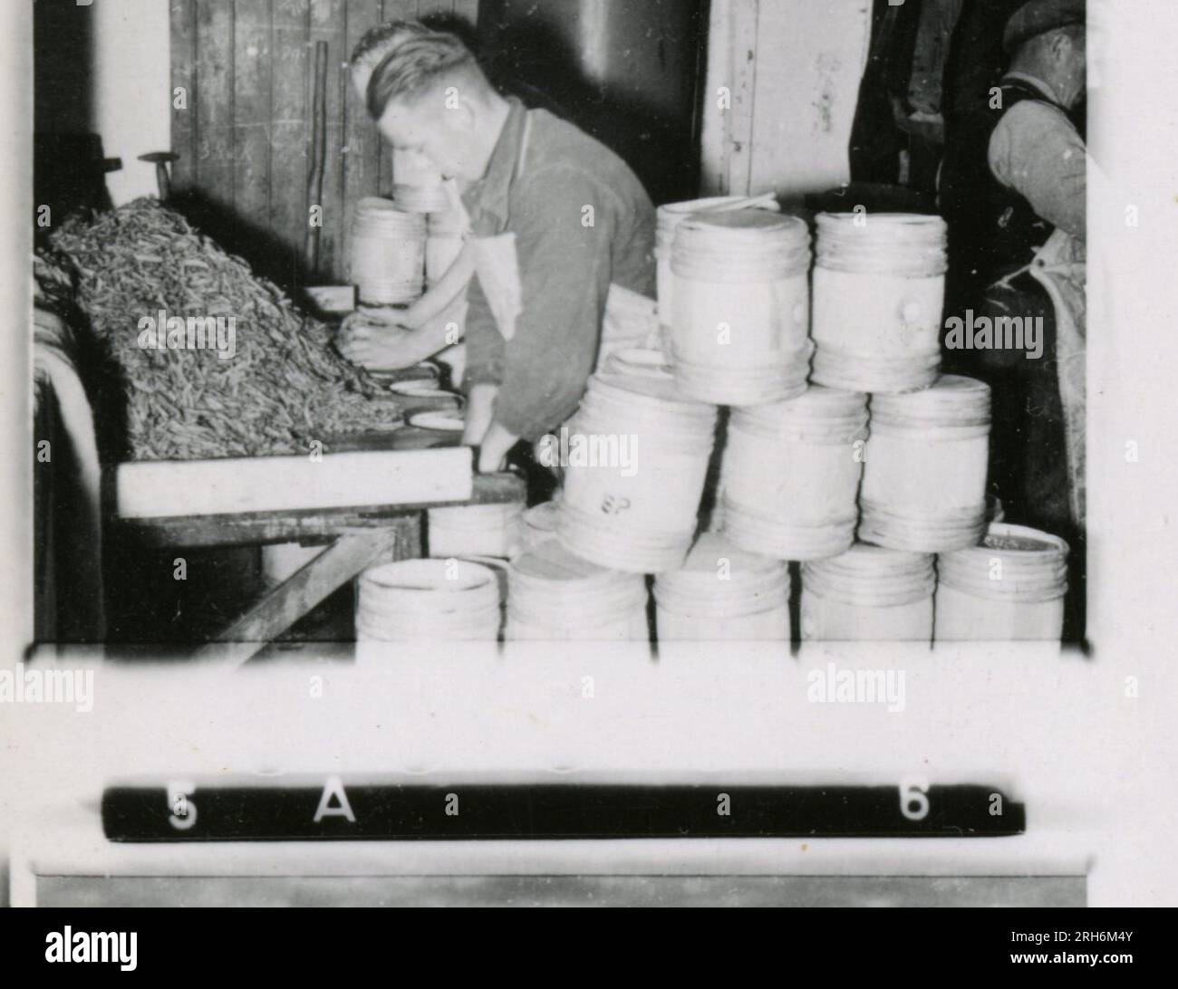 SS Photographer, Gösling, Jobst (Leibstandarte Adolf Hitler, Berlin ...