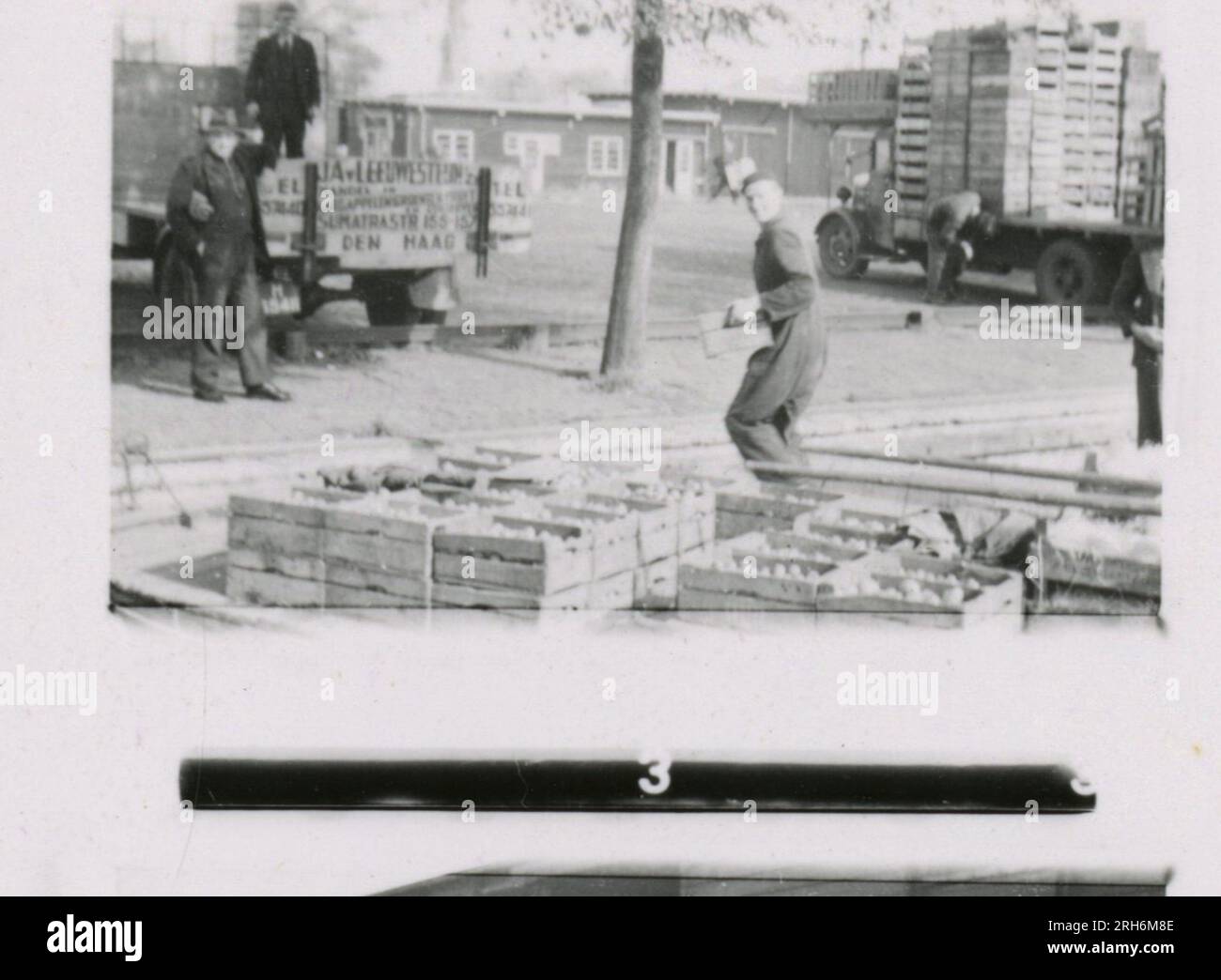 SS Photographer, Gösling, Jobst (Leibstandarte Adolf Hitler, Berlin ...