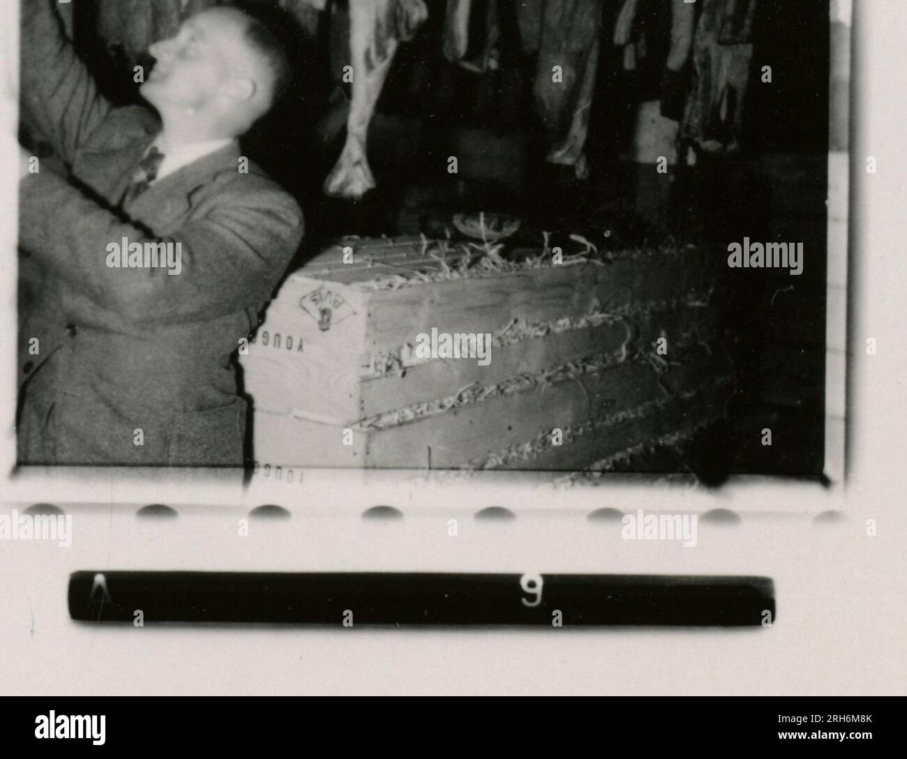 SS Photographer, Gösling, Jobst (Leibstandarte Adolf Hitler, Berlin ...