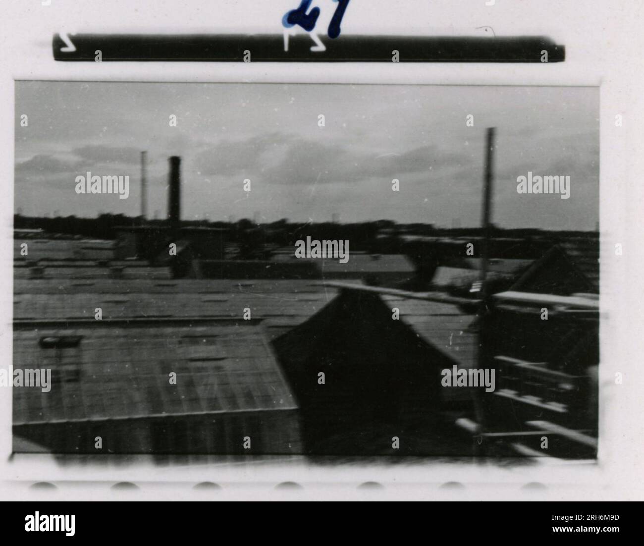 SS Photographer, Gösling, Jobst (Leibstandarte Adolf Hitler, Berlin ...