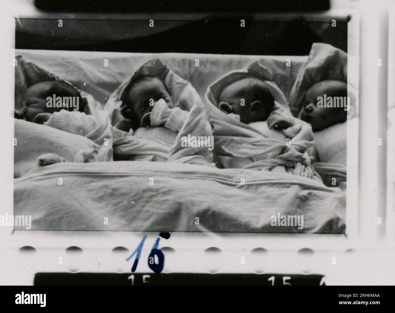 Adolf hitler reviewing nazi waffen ss troops hi-res stock photography ...