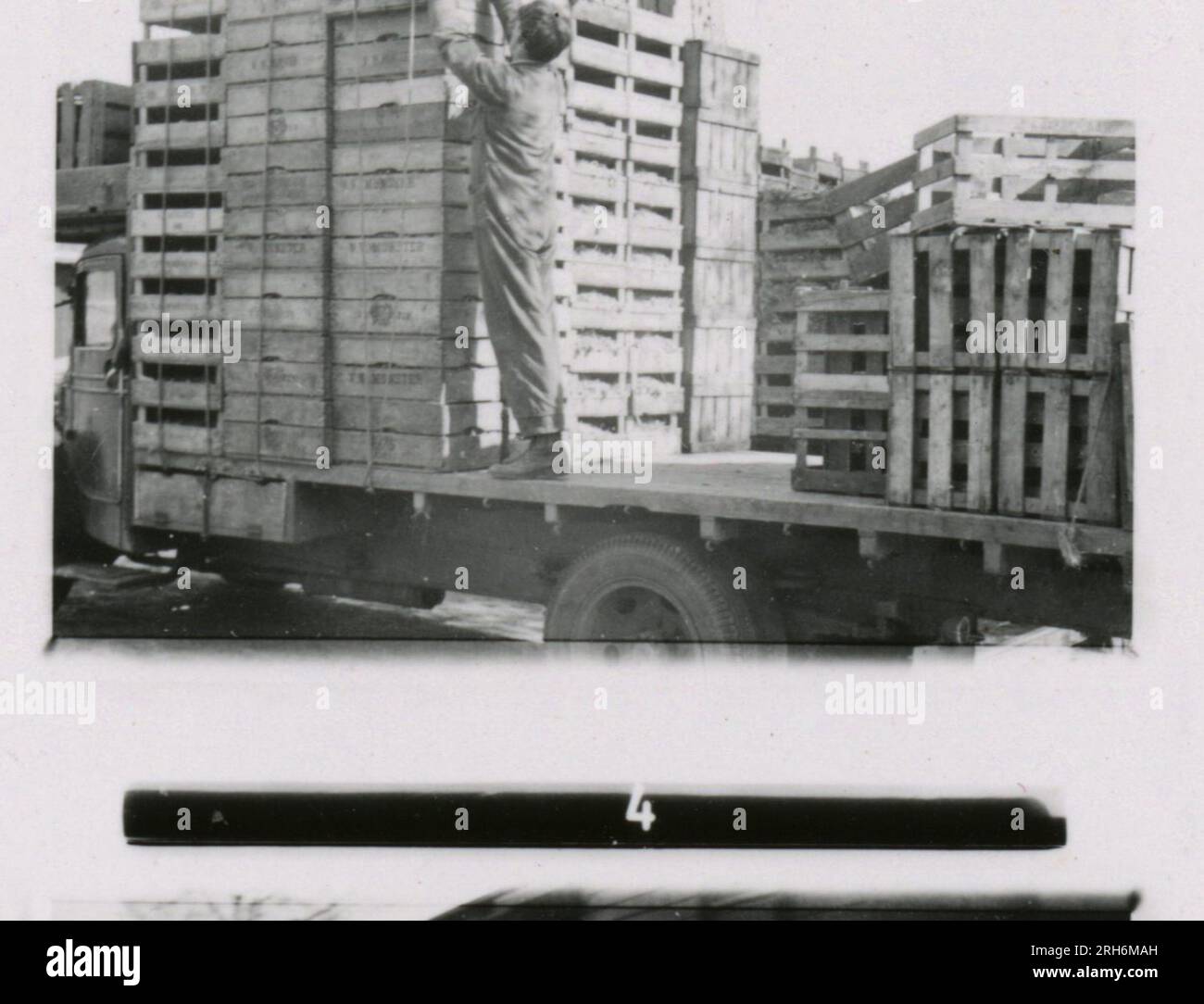 SS Photographer, Gösling, Jobst (Leibstandarte Adolf Hitler, Berlin ...