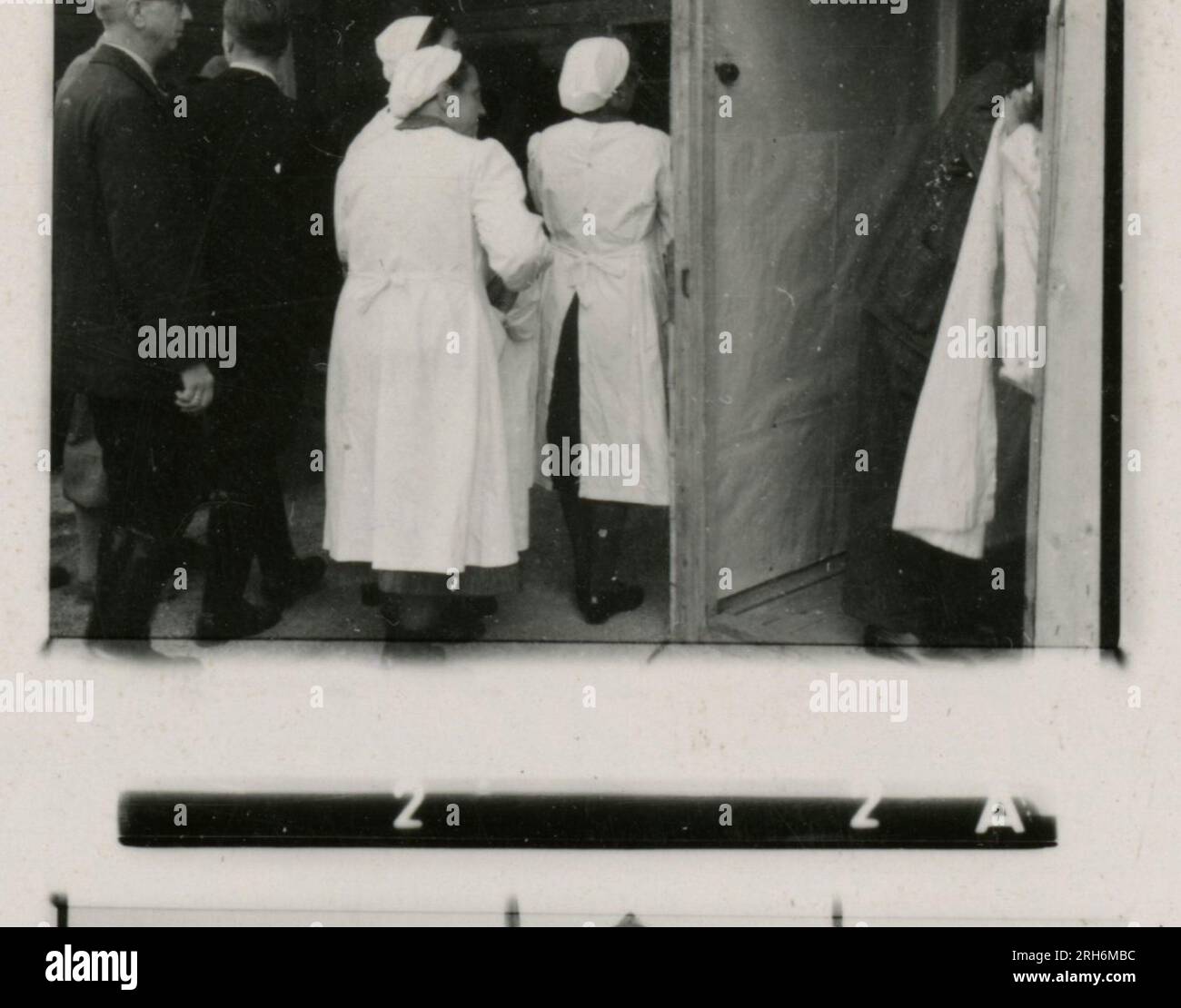 SS Photographer, Gösling, Jobst (Leibstandarte Adolf Hitler, Berlin ...