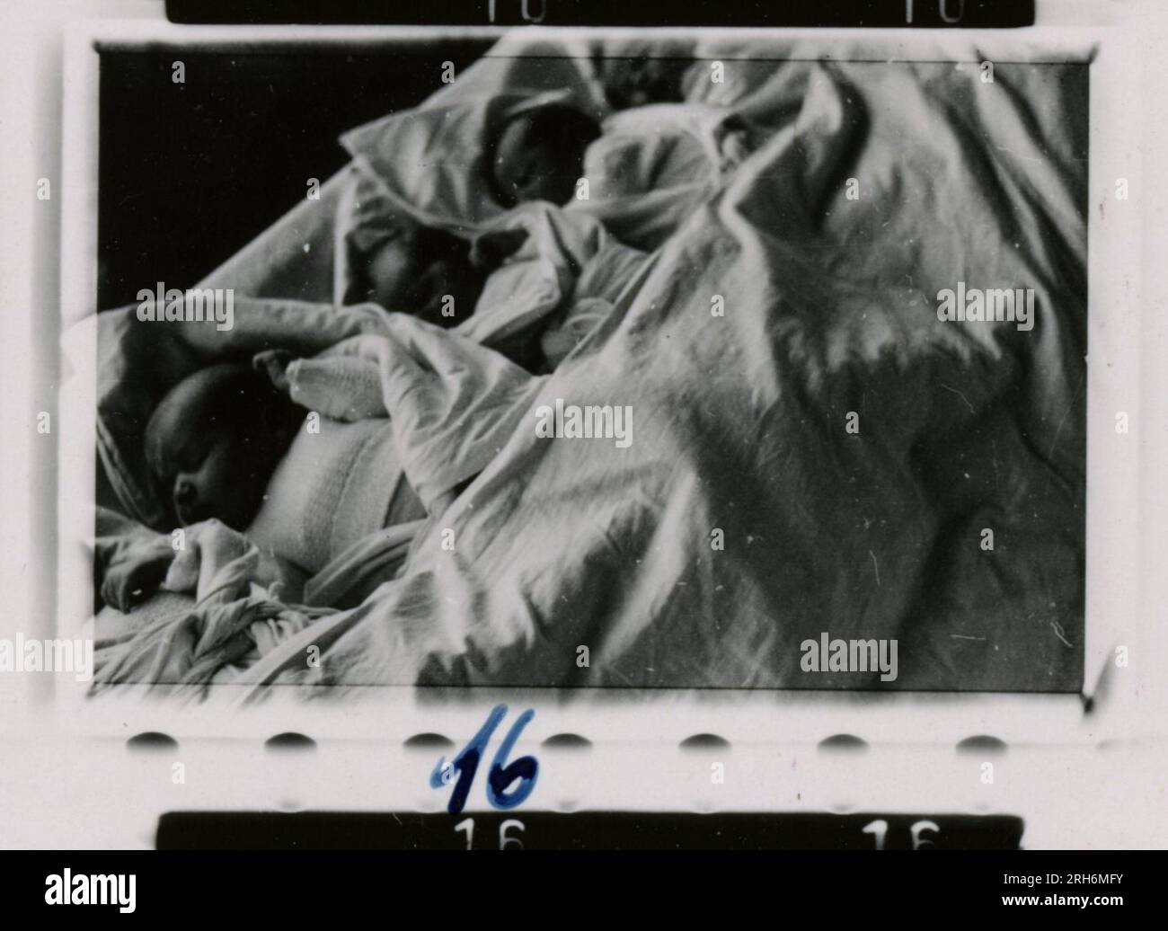 SS Photographer, Gösling, Jobst (Leibstandarte Adolf Hitler, Berlin ...