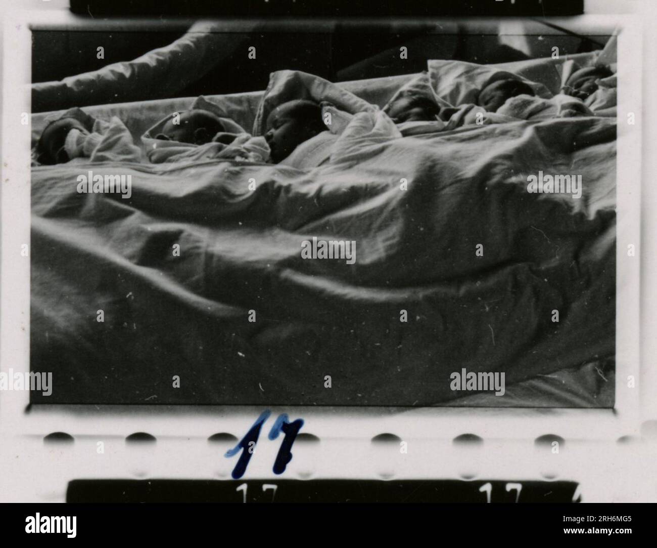 SS Photographer, Gösling, Jobst (Leibstandarte Adolf Hitler, Berlin ...