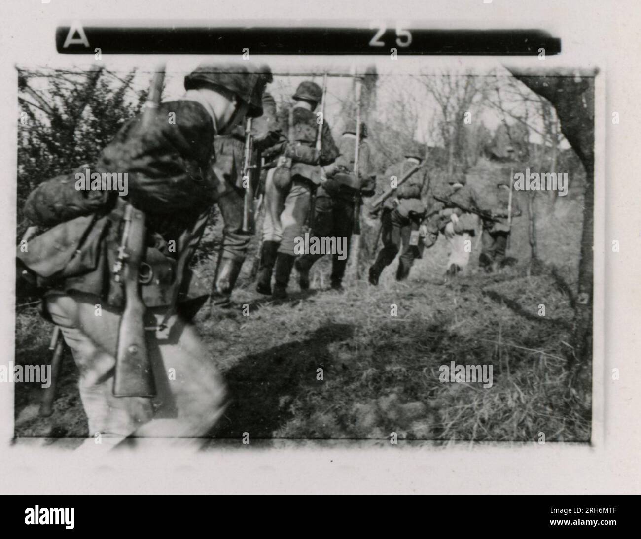SS Photographer, Gösling, Jobst (Leibstandarte Adolf Hitler, Berlin ...