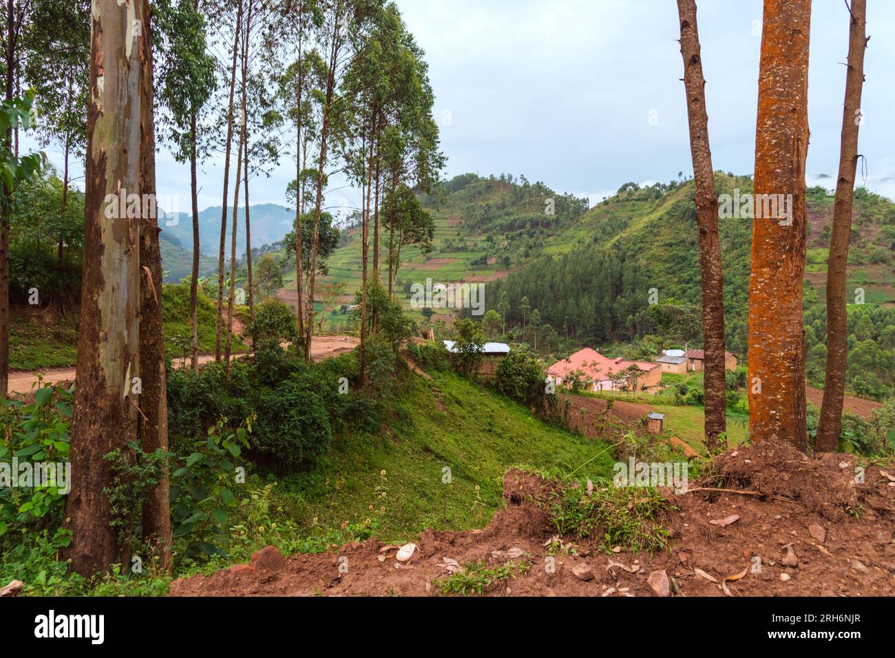 Wilaya ya kisoro hi-res stock photography and images - Alamy