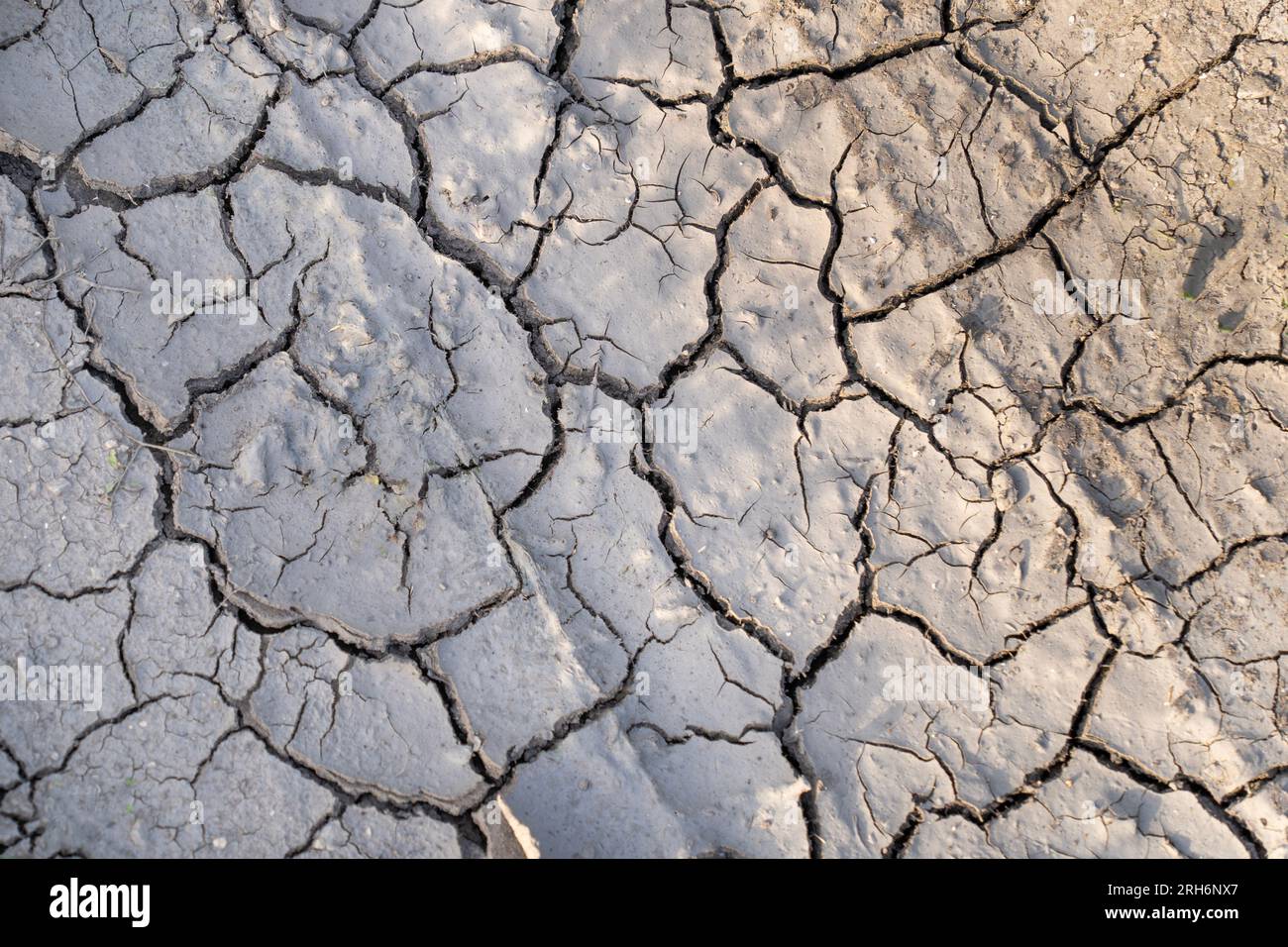 Gray cracked earth drying after rain Stock Photo - Alamy