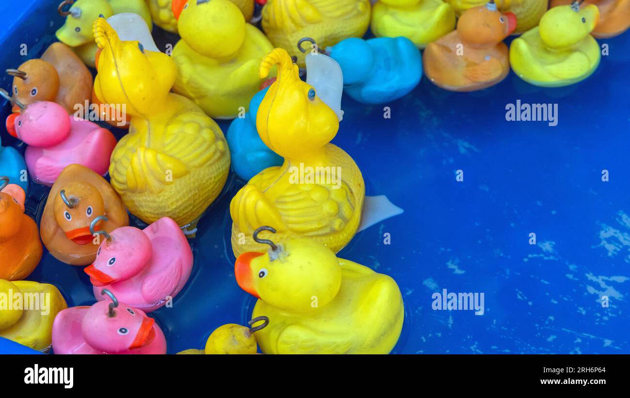 Rubber ducks in pond hi-res stock photography and images - Alamy