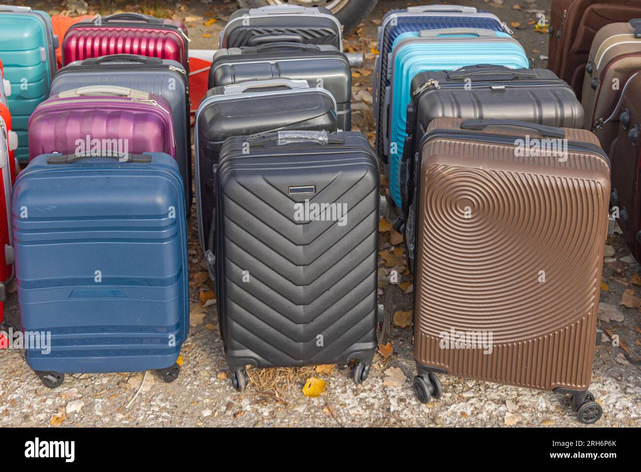 Carry your shell hi-res stock photography and images - Alamy