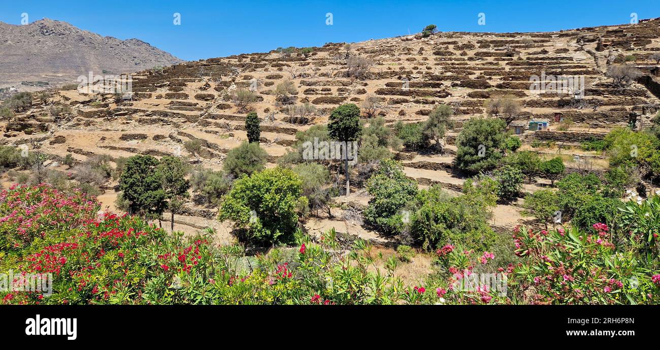 Dry landscape in Pyrgos area, Tinos island, Greece, Southern Europe ...