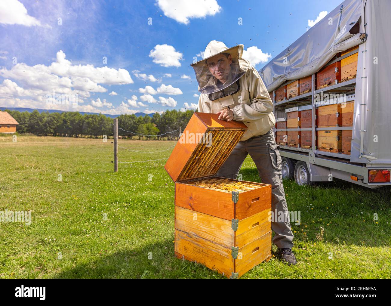 Farmer wearing bee suit working with honeycomb in apiary Stock Photo ...