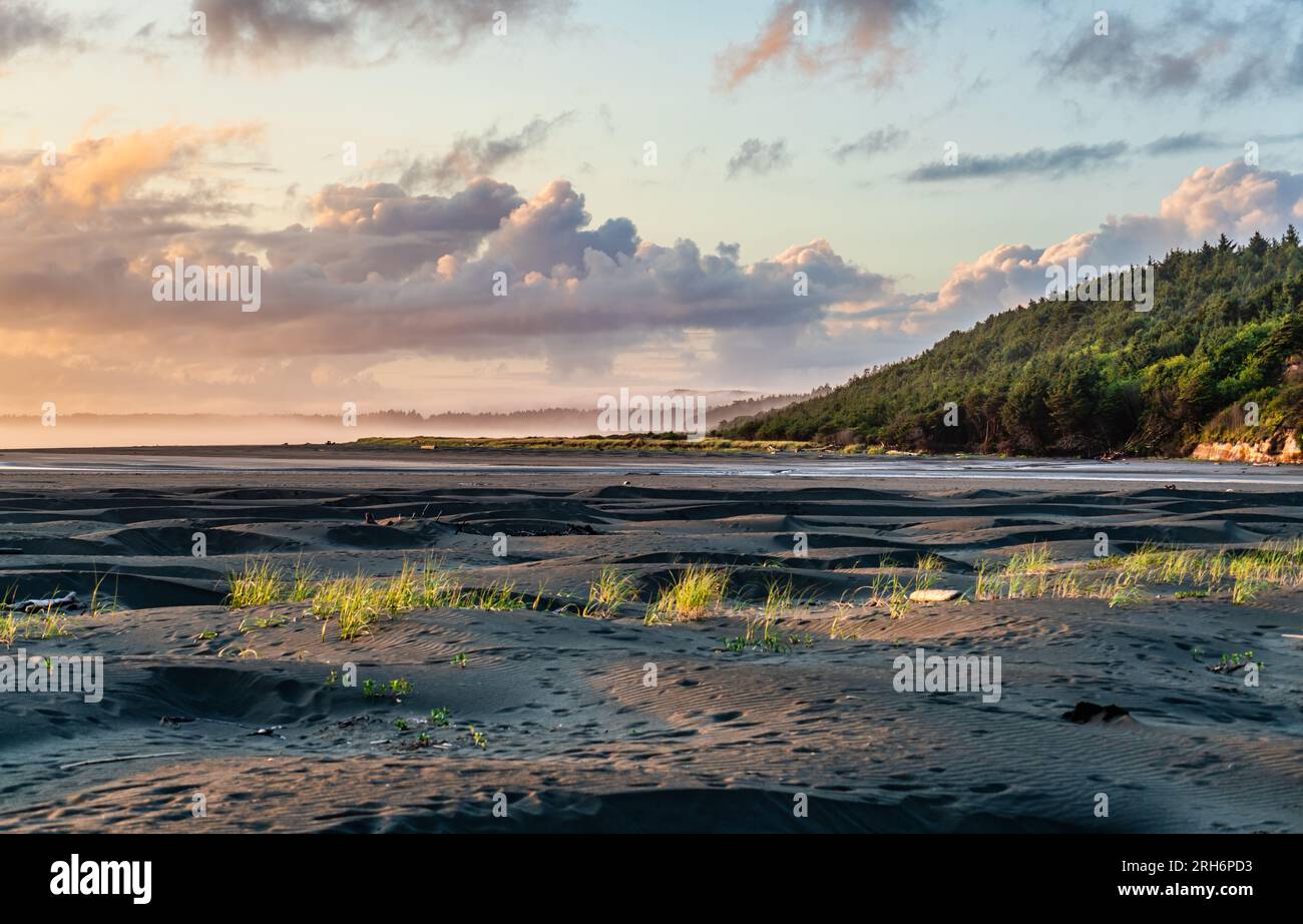 Moclips hi-res stock photography and images - Alamy