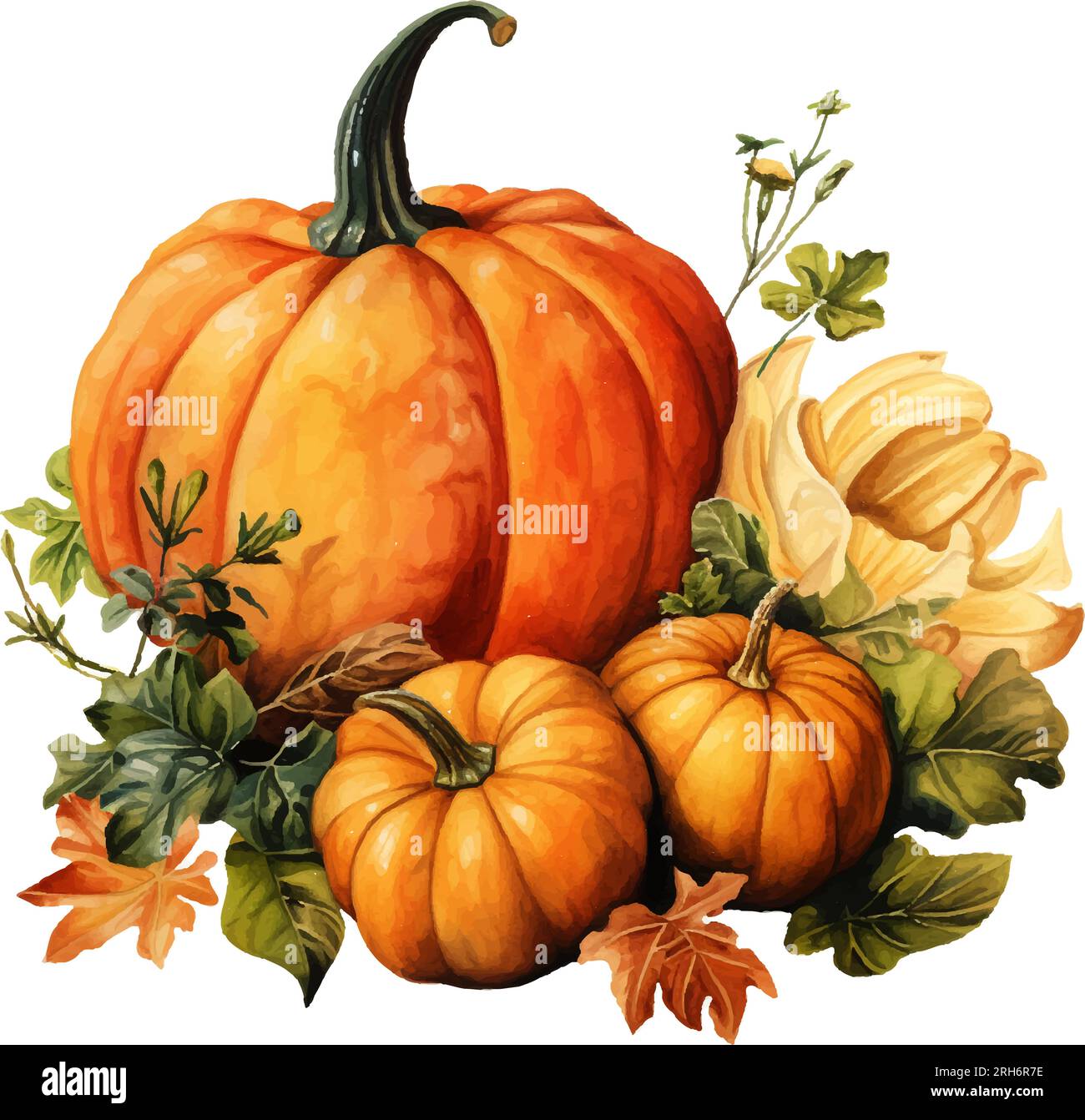 Watercolor painting autumn pumpkin still life for celebration design ...