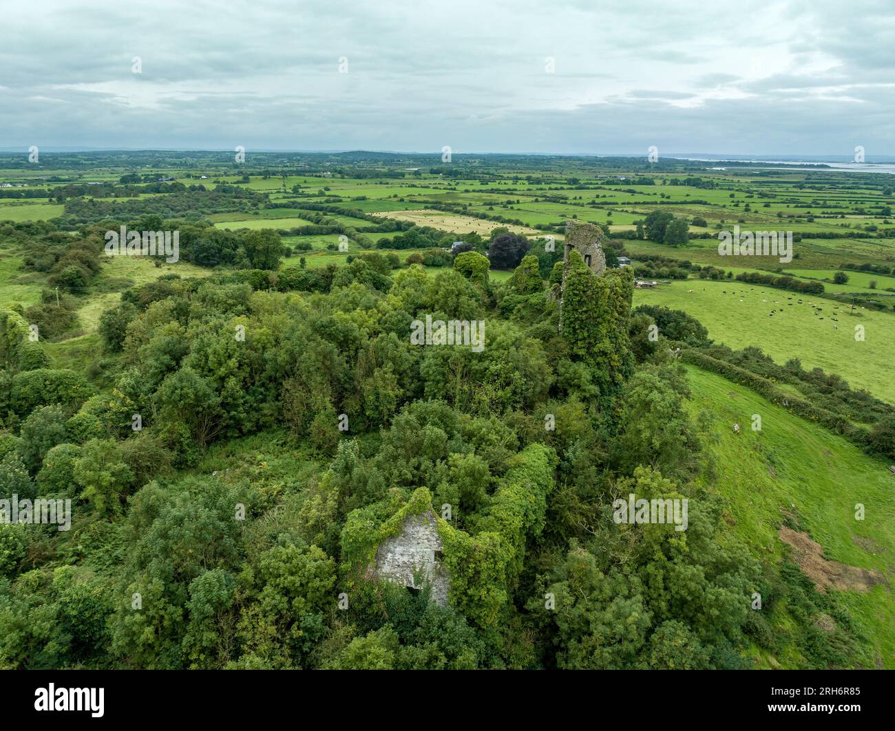 Carrigogunnell castle hi-res stock photography and images - Alamy