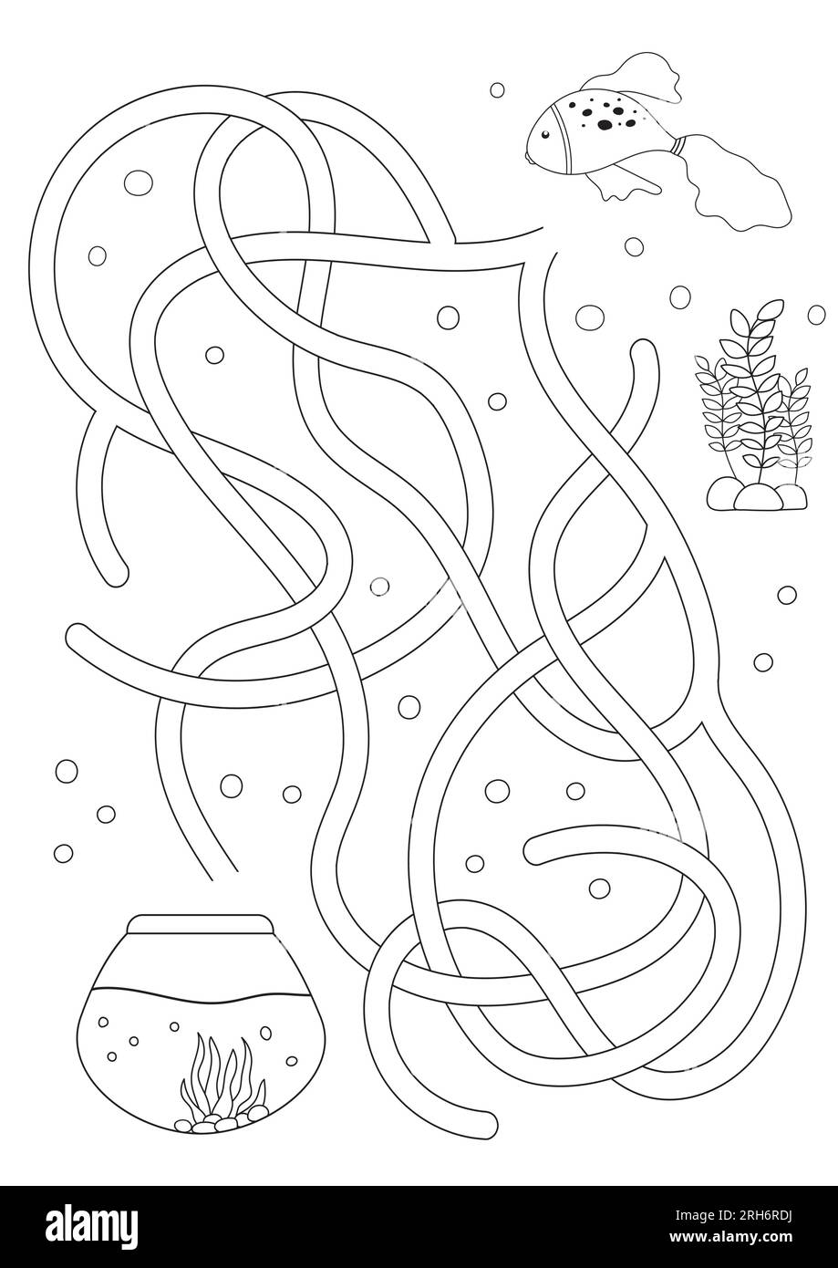 Vector maze isolated on white background. Help the fish find the ...