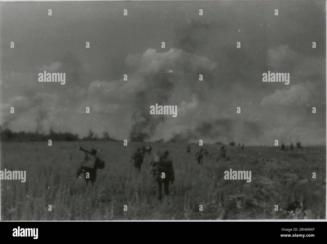 SS Photographer, Grönert, Hermann (Totenkopf, Russia and Italy 1943 ...