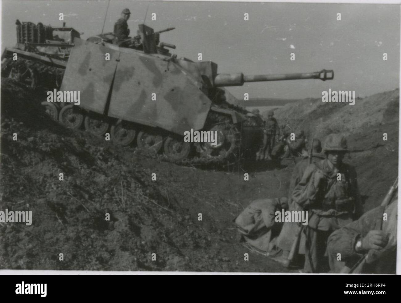 SS Photographer, Grönert, Hermann (Totenkopf, Russia and Italy 1943 ...