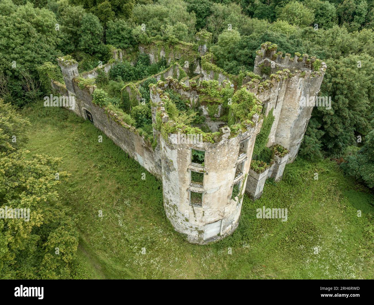 Aerial view of ruined and overgrown Buttevant or Barry's castle on the ...