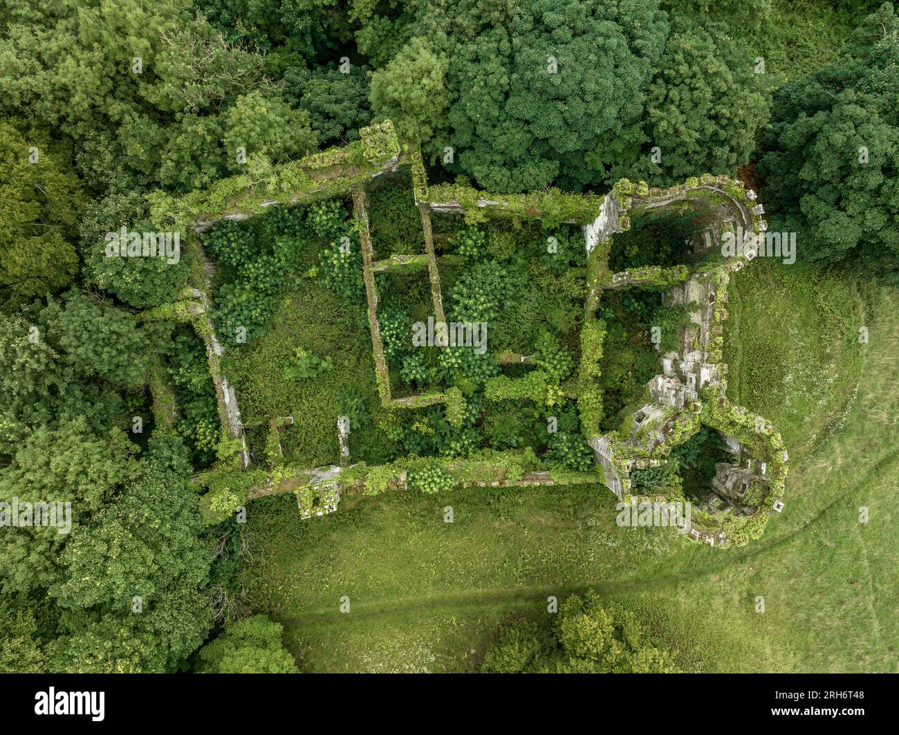 Aerial view of ruined and overgrown Buttevant or Barry's castle on the ...