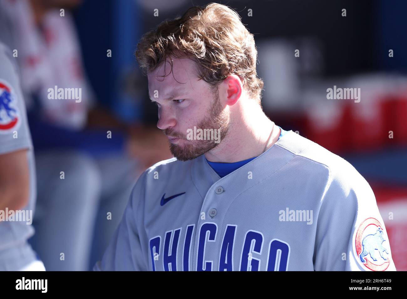 TORONTO, ON - AUGUST 12: Chicago Cubs left fielder Ian Happ (8) looks ...