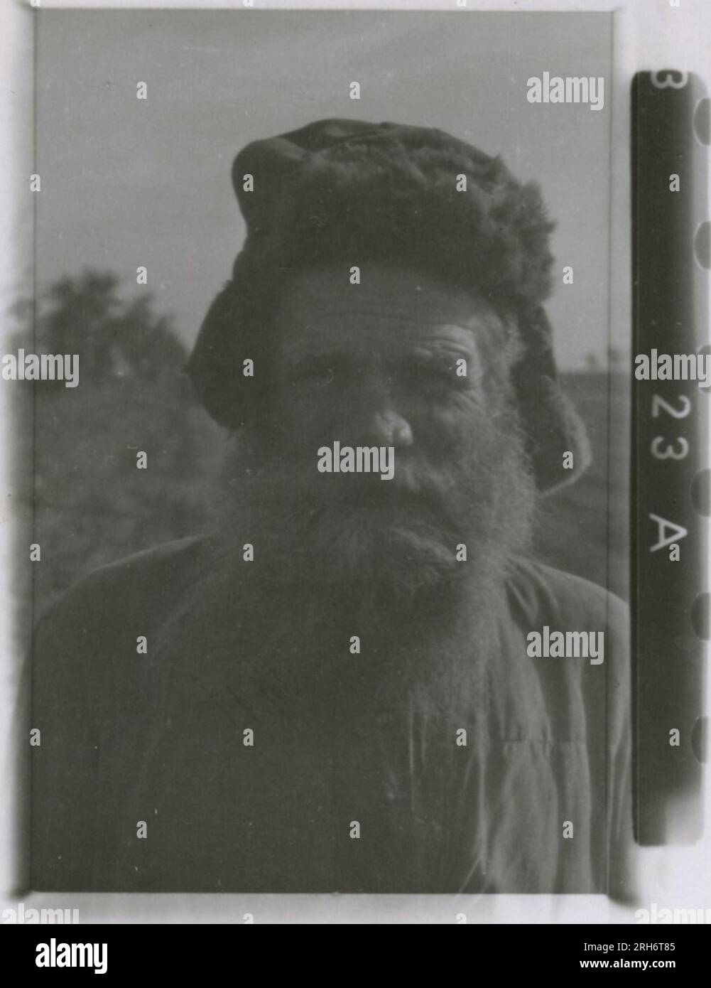 SS Photographer, Grönert, Hermann (Totenkopf, Russia and Italy 1943 ...